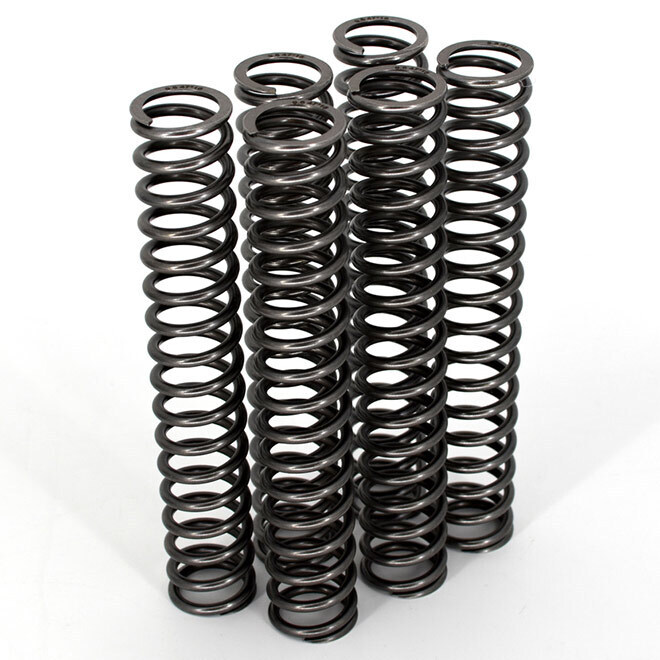 Australian Distributor TracTive Suspension Cartridge Spring Kit BMW ...
